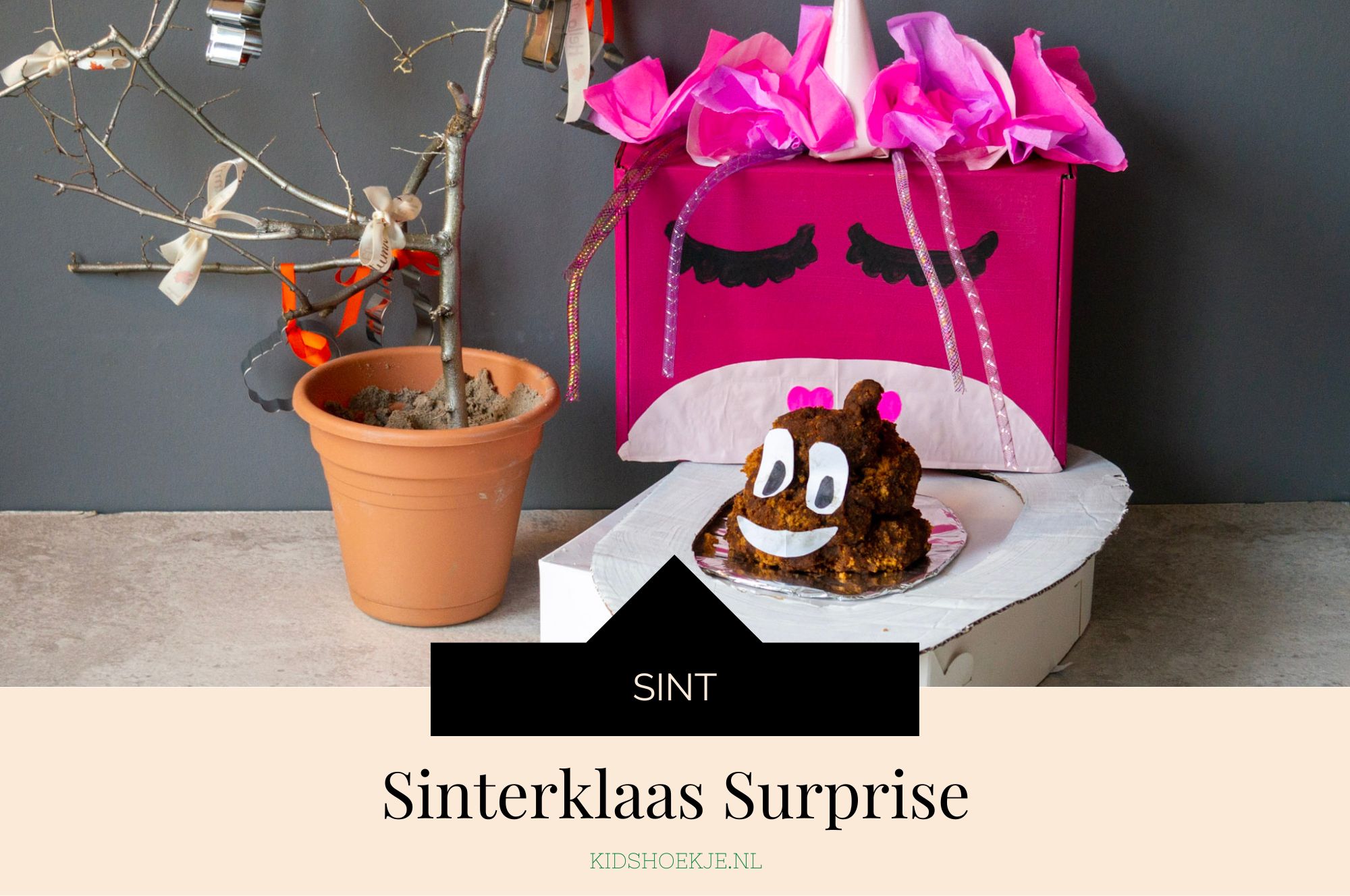 5x Sinterklaas Surprise Inspiratie - Kidshoekje