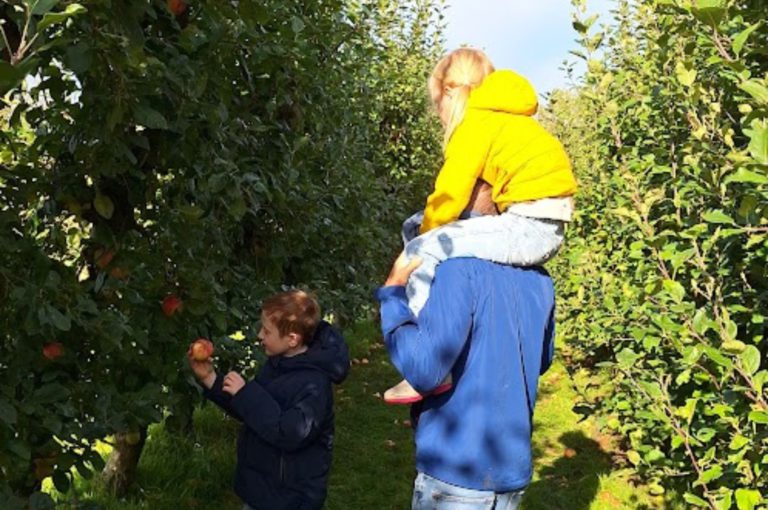 Appels plukken in de herfstvakantie + 15x wat je met al die appels kunt ...